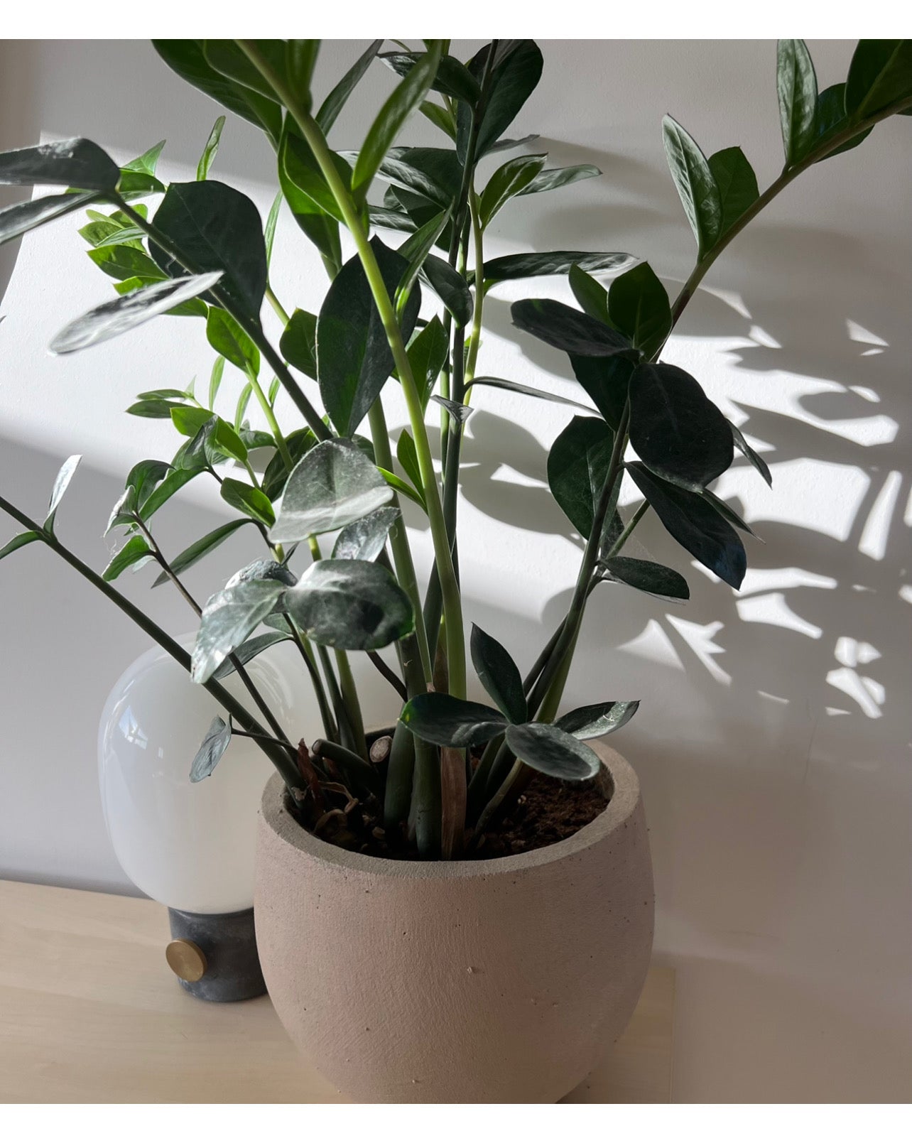 Tour – Wellbeing Pilates